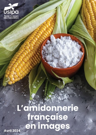USIPA : Union des Syndicats des Industries des Produits Amylacés